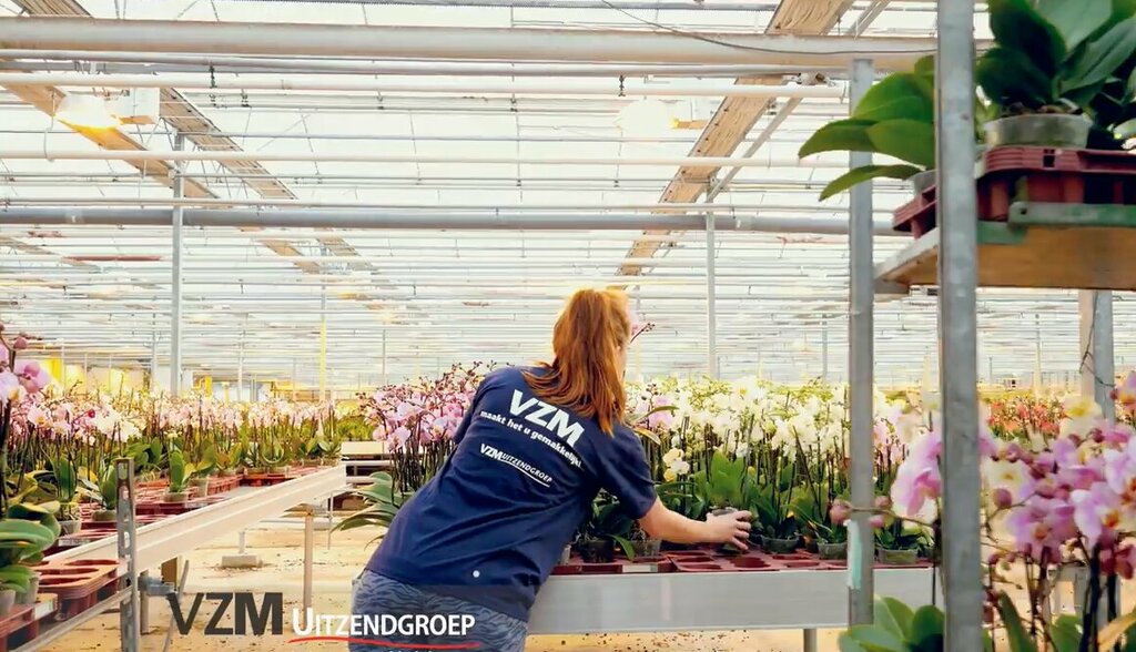 i̇ş ve işçi bulma kurumları Vzm Uitzendgroep Bursa, Bursa, foto