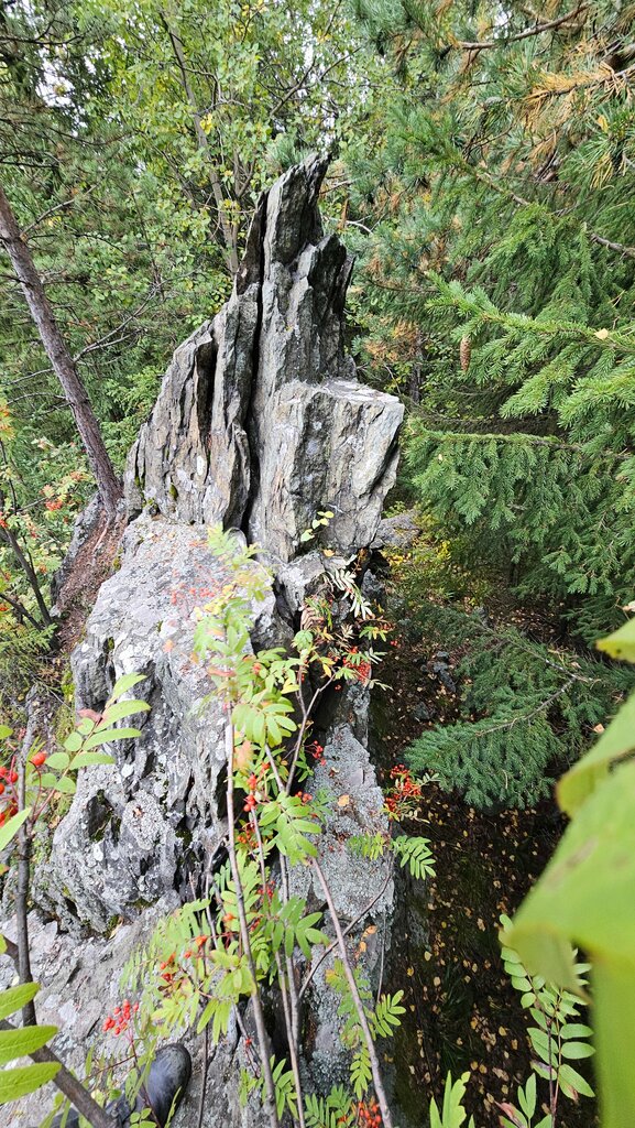 Dağ zirvesi Скала, Sverdlovskaya oblastı, foto