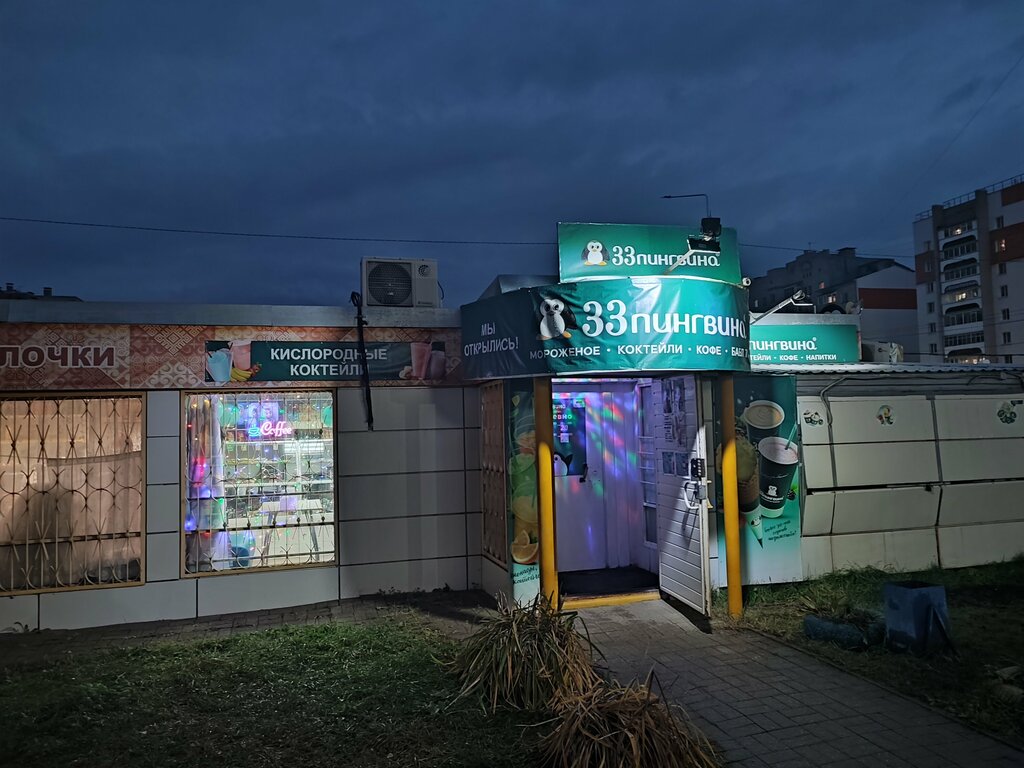 Dondurmacılar 33 пингвина, Vologda, foto