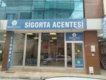 Berat Yılmaz Sigorta (Bursa, Osmangazi, Hürriyet Mah., 1. Namıkkemal Sok., 6), sigorta şirketleri  Bursa'dan