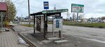 Улица Петра Алексеева (ulitsa Popova No:70Б), toplu taşıma durağı  Smolensk'ten
