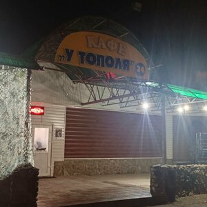 У тополя (Penza Region, Nizhnelomovskiy rayon, M-5 Ural, 527-y kilometr), kafe