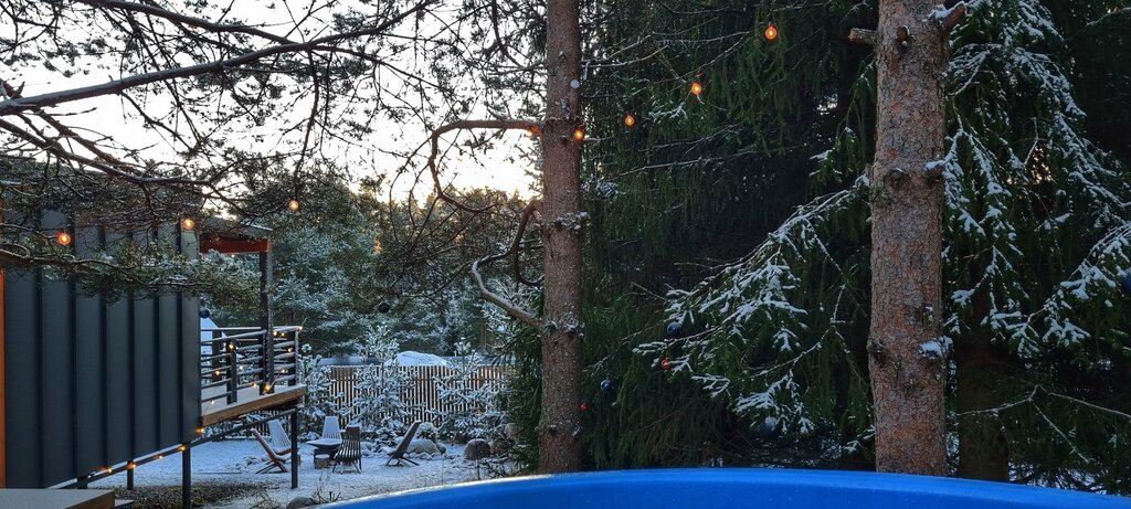 Otel Ёлки Вокруг, Saint‑Petersburg ve Leningradskaya oblastı, foto