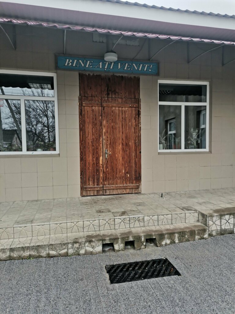 Sanat okulları Școala de Arte Plastice pentru Copii, Beltsi, foto