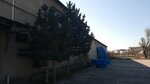 Pool Sales Company (Qara Tóbe kóshesі No:42, Shymkent), şişirilebilir ürünler  Çimkent'ten (Şımkent'ten)