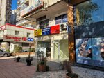 Cnl Sigorta (Bülent Angın Blv., No:22/B, Seyhan, Adana), sigorta acentaları  Adana'dan