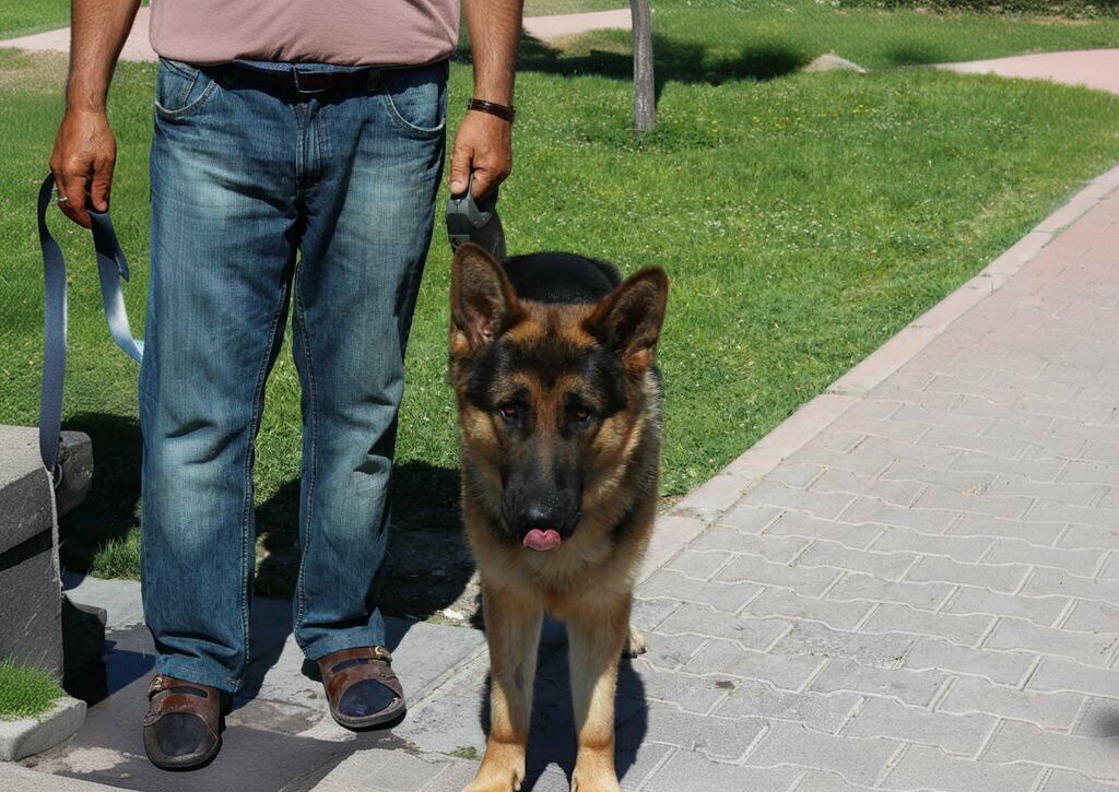 Kültür ve eğlence parkları Flamingo Parkı, Kayseri, foto