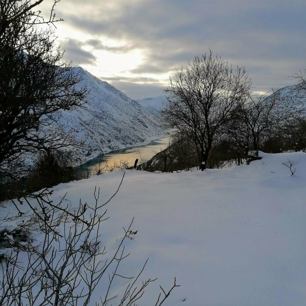 Muhtarlıklar Yıldızlı Köy Muhtarlığı, Kemaliye, foto