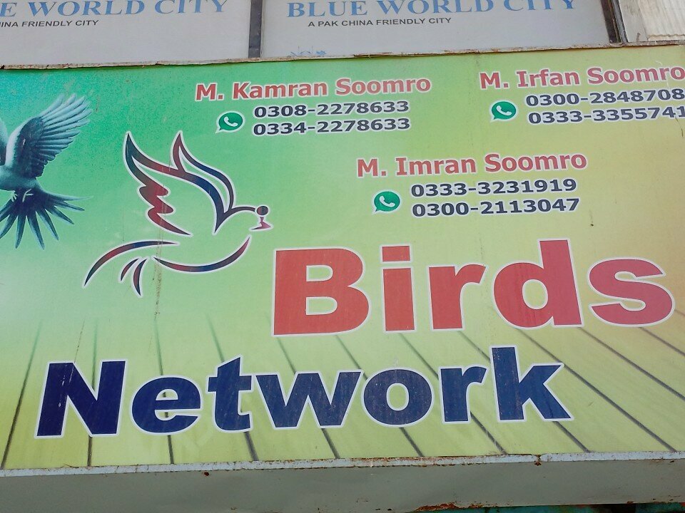 Petshop Birds Network, Karaçi, foto