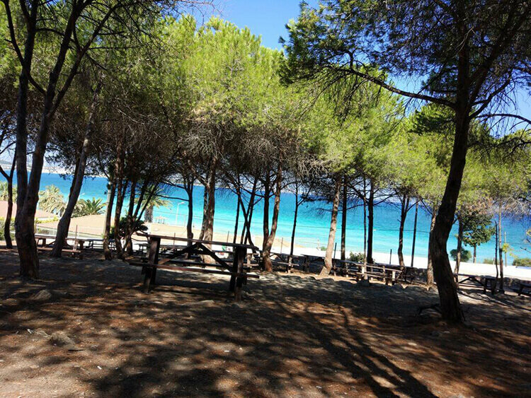 Doğa koruma alanı Tanay Tabiat Parkı, İzmir, foto