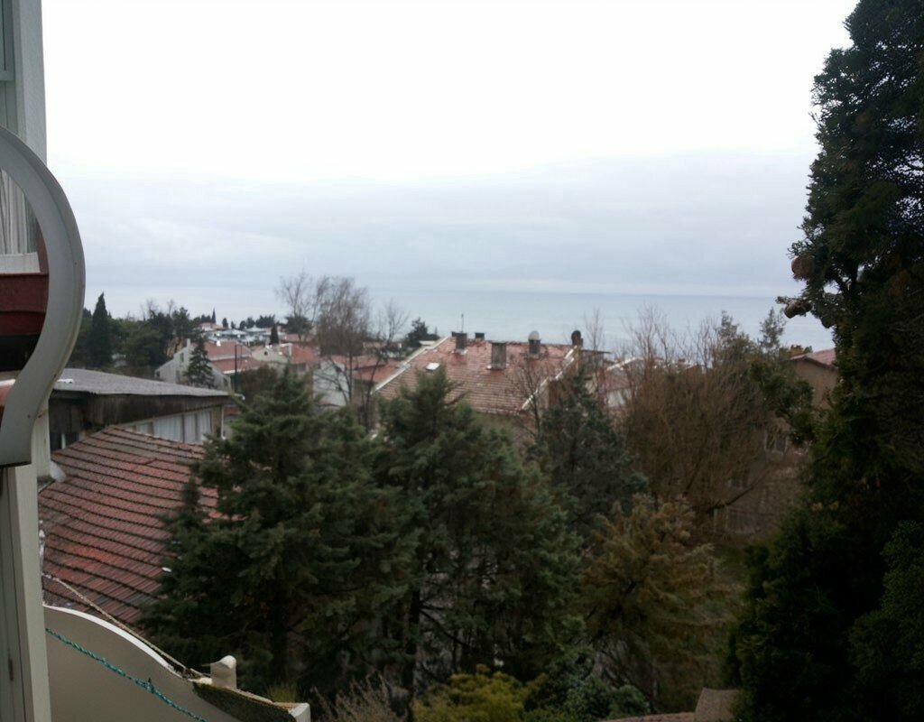 Emlak ofisi Melek Emlak, İstanbul, foto
