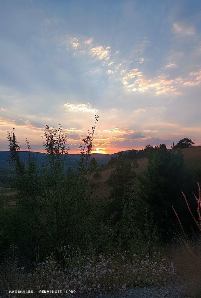 Muhtarlıklar Derekaraağaç Köy Muhtarlığı, Taşköprü, foto