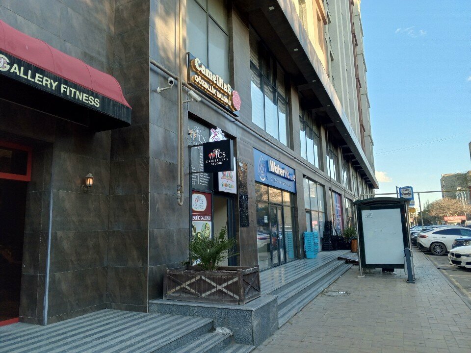 Güzellik salonu Camellias, Bakü, foto