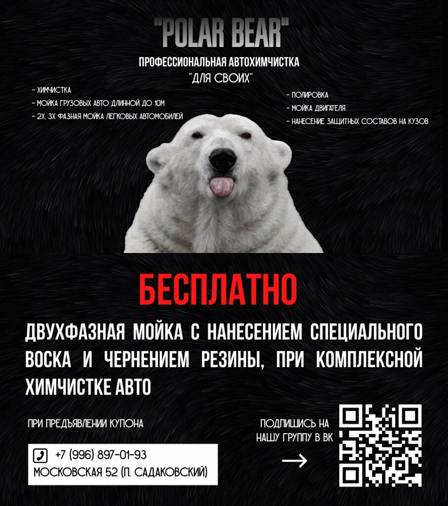 Oto temizleyicisi Polar Bear, Kirov, foto