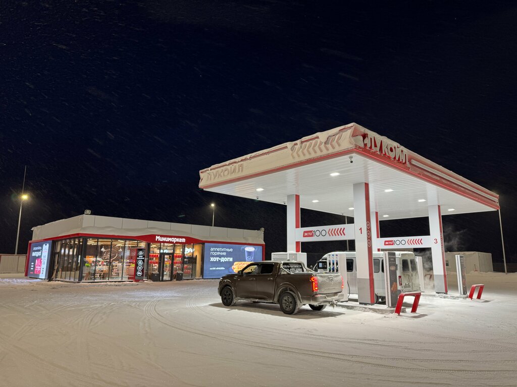 Benzin istasyonu Lukoil, Yamal‑Nenets Özerk Bölgesi, foto