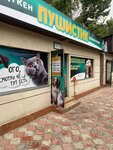 Pushistik (No:71А/2, Aınabulaq-2 shaǵyn aýdany), petshop  Almatı'dan