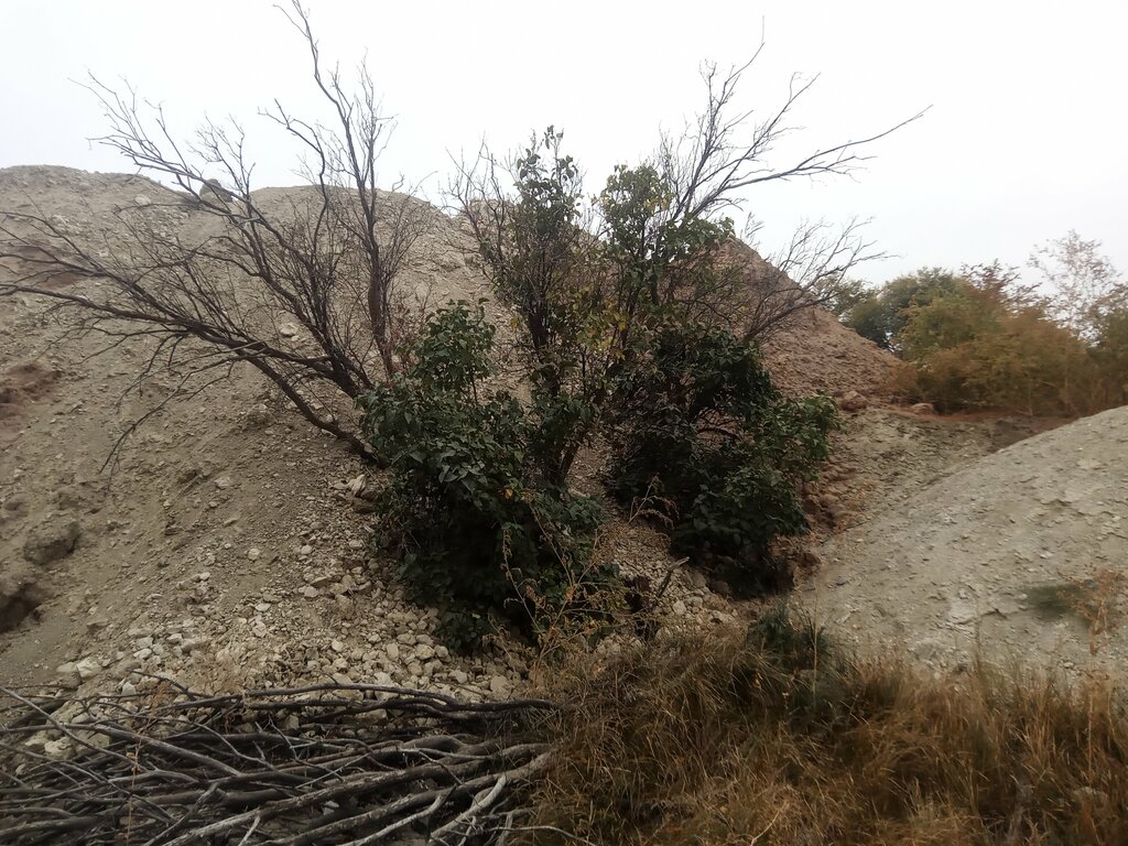Pınar, çay Spring, stream, Volgograd, foto