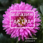Astra (Южная улица No:9А, посёлок городского типа Приморский), kozmetik ve parfümeri mağazaları  Kırım Cumhuriyeti'nden