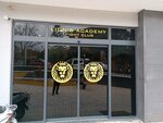 Lion's Academy Fight Club (Antalya, Alanya, Oba Mah., 23160. Sok., 22/1BE), spor ve jimnastik salonları  Alanya'dan