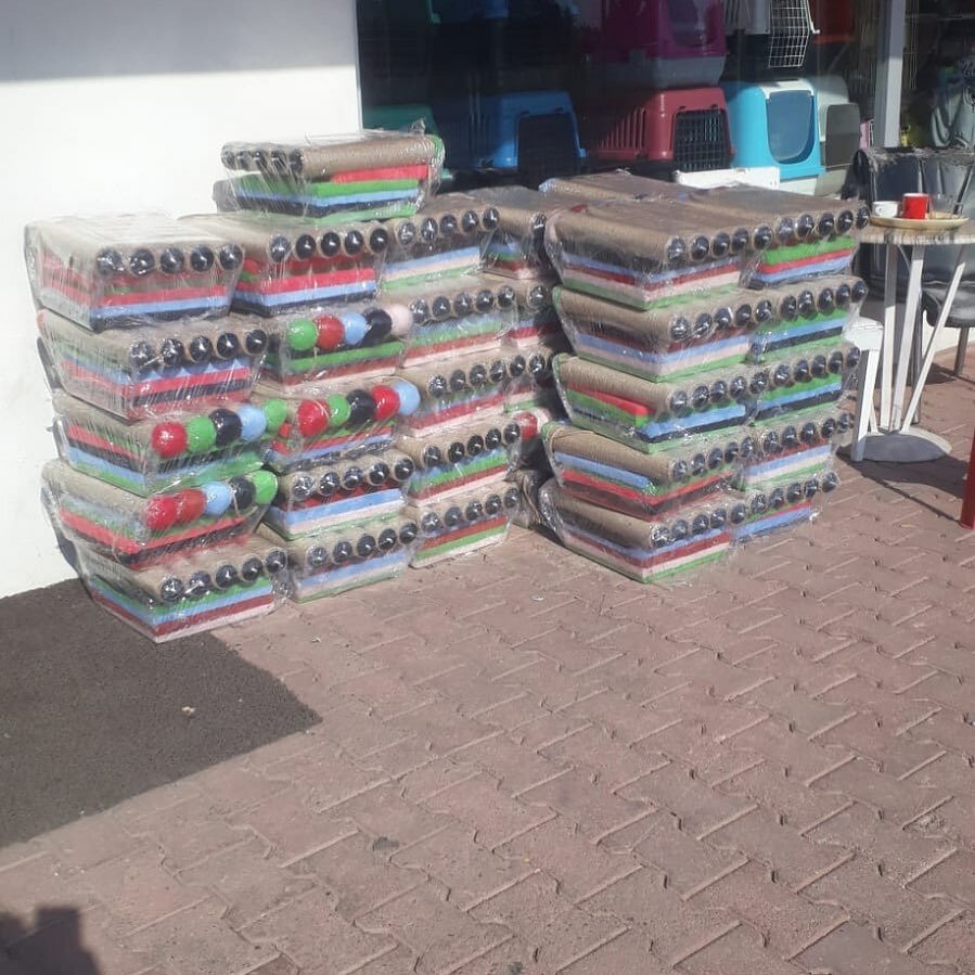 Petshop Avcı Petshop 2, Antalya, foto