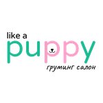 Grooming salon Like a puppy (Komendantskaya square No:8), evcil hayvan kuaförleri  Saint‑Petersburg'dan