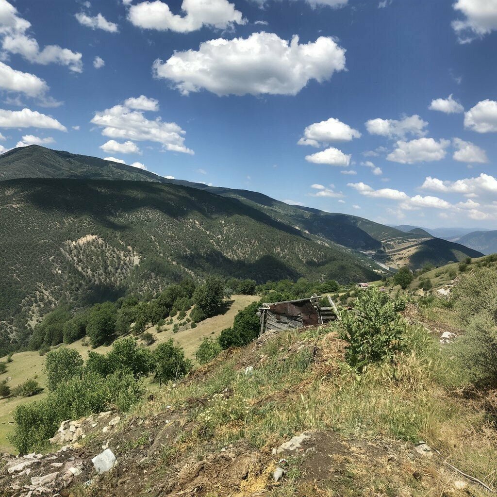 Muhtarlıklar Feriz Köy Muhtarlığı, Bayramören, foto
