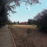 Çukurova Üniversitesi Tıp Fakültesi Adli Tıp Anabilim Dalı (Adana, Sarıçam, Mithat Özsan Blv., 16/28), üniversiteler  Adana'dan