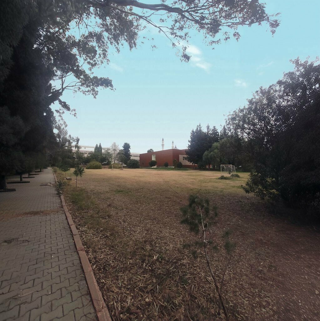 Üniversiteler Çukurova Üniversitesi Tıp Fakültesi Adli Tıp Anabilim Dalı, Adana, foto