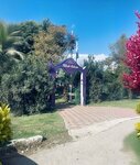 Mezitli Belediyesi Nikah Salonu (Viranşehir Mh., 34381. Sk., No: 14, Mezitli, Mersin), evlendirme daireleri  Mersin'den