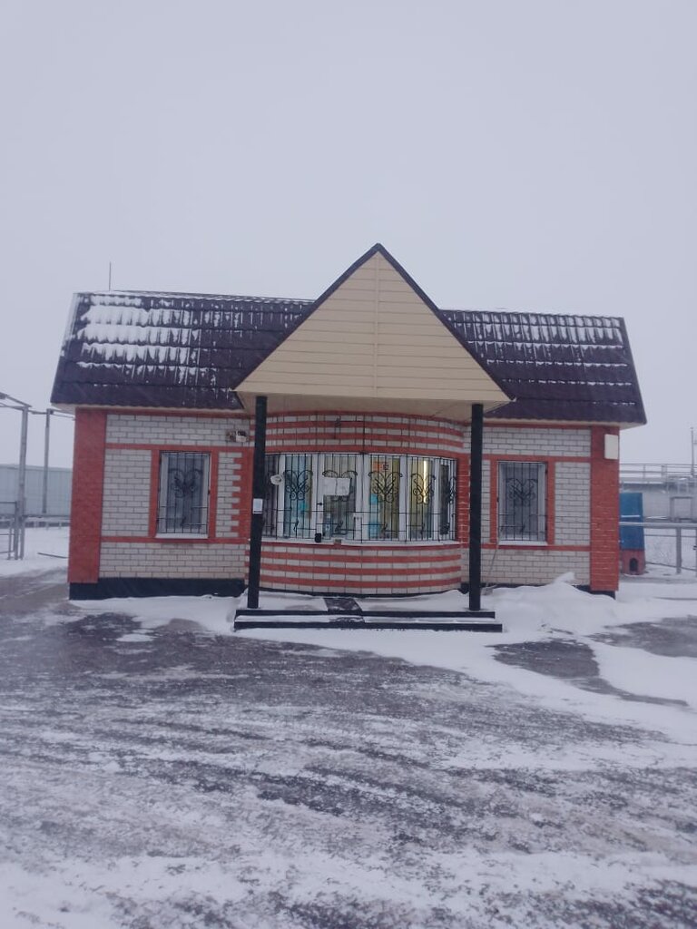 Otogaz dolum istasyonu Gazoyl, Altayski krayı, foto