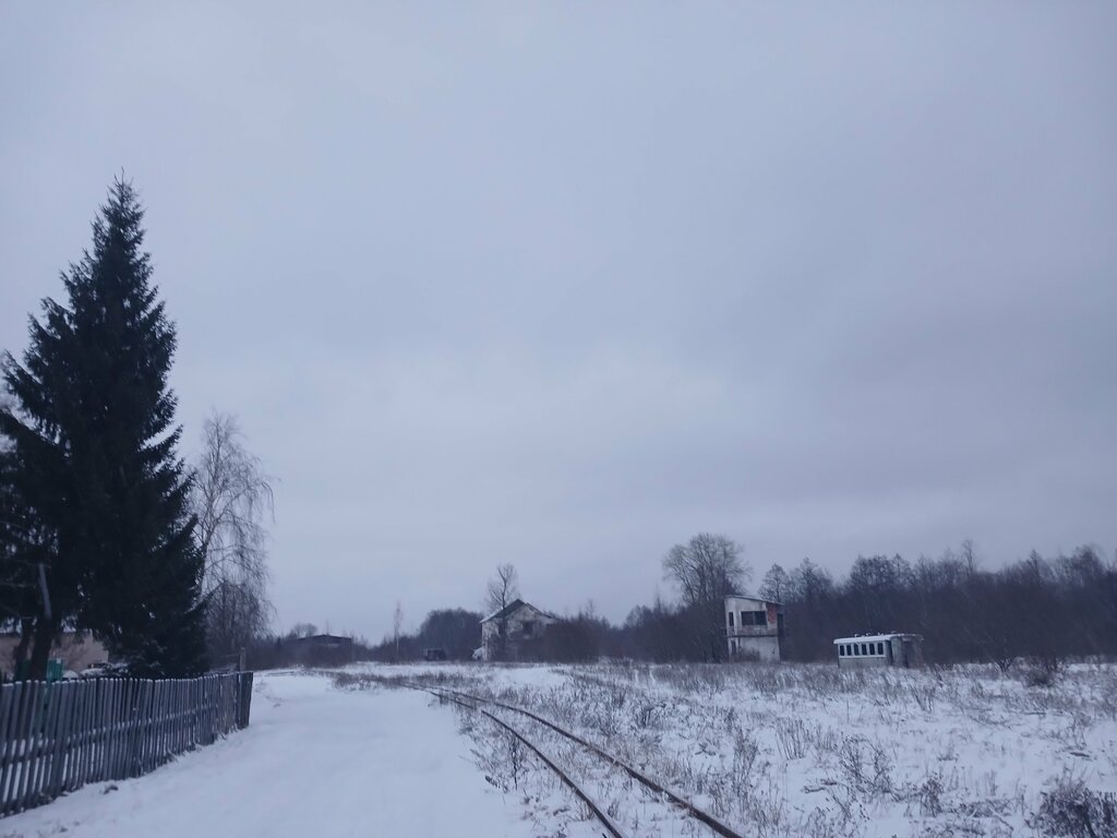 Yük istasyonu остановочный пункт 1-й пост, Novgorodskaya oblastı, foto