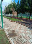 Tenis Kortu (Ankara, Altındağ, Yıldıztepe Mah., 170. Sok.), spor alanı  Ankara'dan