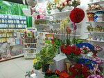 Bahar Çiçekçilik (İstanbul, Arnavutköy, Hadımköy Mah., Doğukent Cad., 21), çiçekçiler  Arnavutköy'den