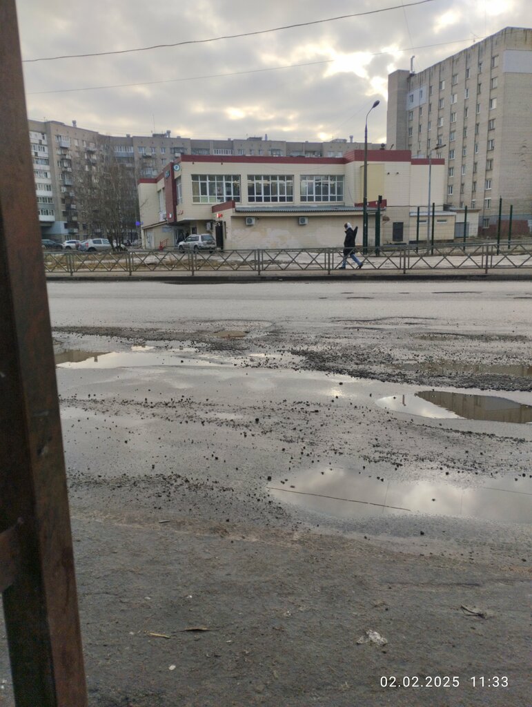 Gıda pazarı Невская ярмарка, Yaroslavl, foto