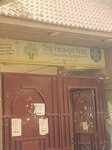 Heaven Tree School (Province of Sindh, Karachi, Manzoor Colony, Lucky Afridi Road), yabancı dil kursları  Karaçi'den