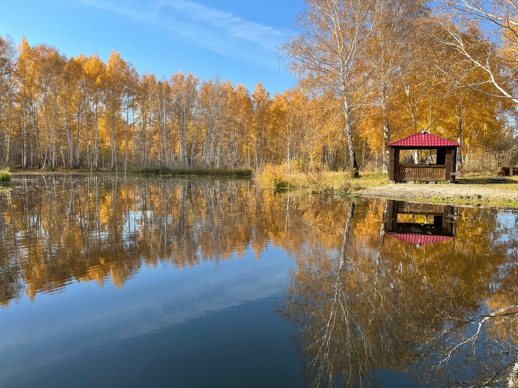 Resort oteller, tesisler Borovlyanka, Abay ili, foto