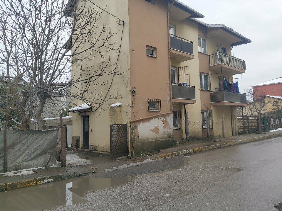 Web tasarım hizmetleri Seo Uzmanı Uğur Alan, İstanbul, foto