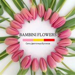 Bambini Flowers (Verkhnyaya Dubrova Street No:36Г), çiçekçiler  Vladimir'den