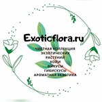 Exoticflora.ru (ulitsa Potapovskaya Roshcha No:14), çiçekçiler  Moskova'dan