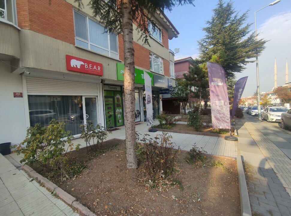 Yazılım firmaları B. E. A. R, Ankara, foto