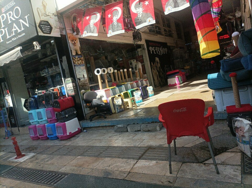 Petshop Akvaryum, Antalya, foto