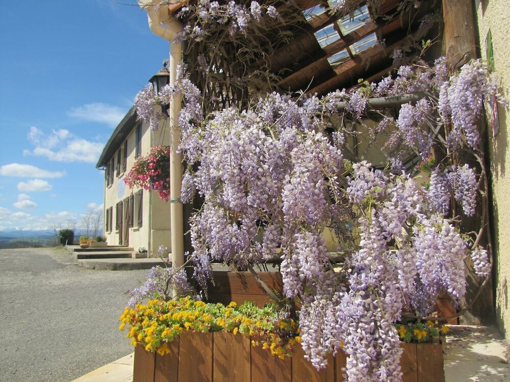 Otel Auberge du Balestié, , foto