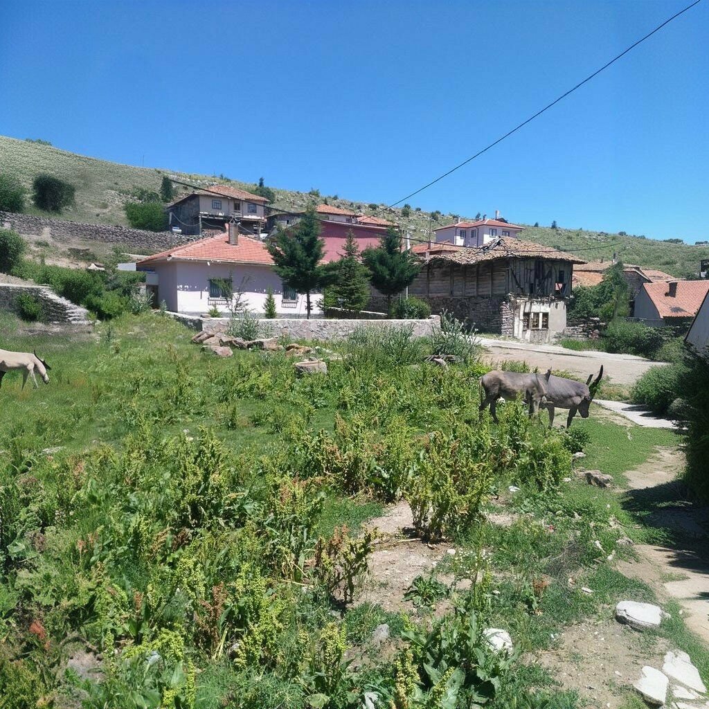 Muhtarlıklar Ildızım Köy Muhtarlığı, Korgun, foto