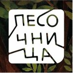 Pesochnitsa (Krasnaya Street No:124Б), sanat okulları  Krasnodar'dan