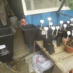 Vanlı Çiçek Market (İzmir, Bayındır, Menderes Blv., 7), çiçekçiler  Bayındır'dan
