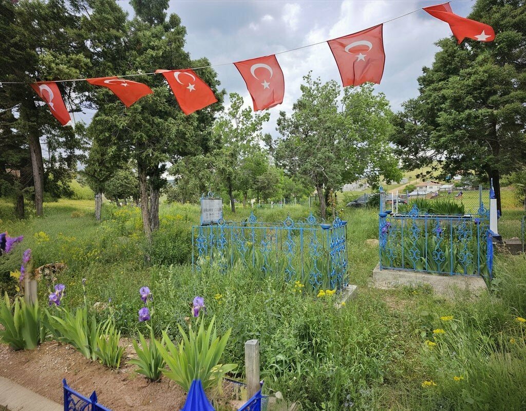 Cami Başpınar Köyü Cami, Kelkit, foto