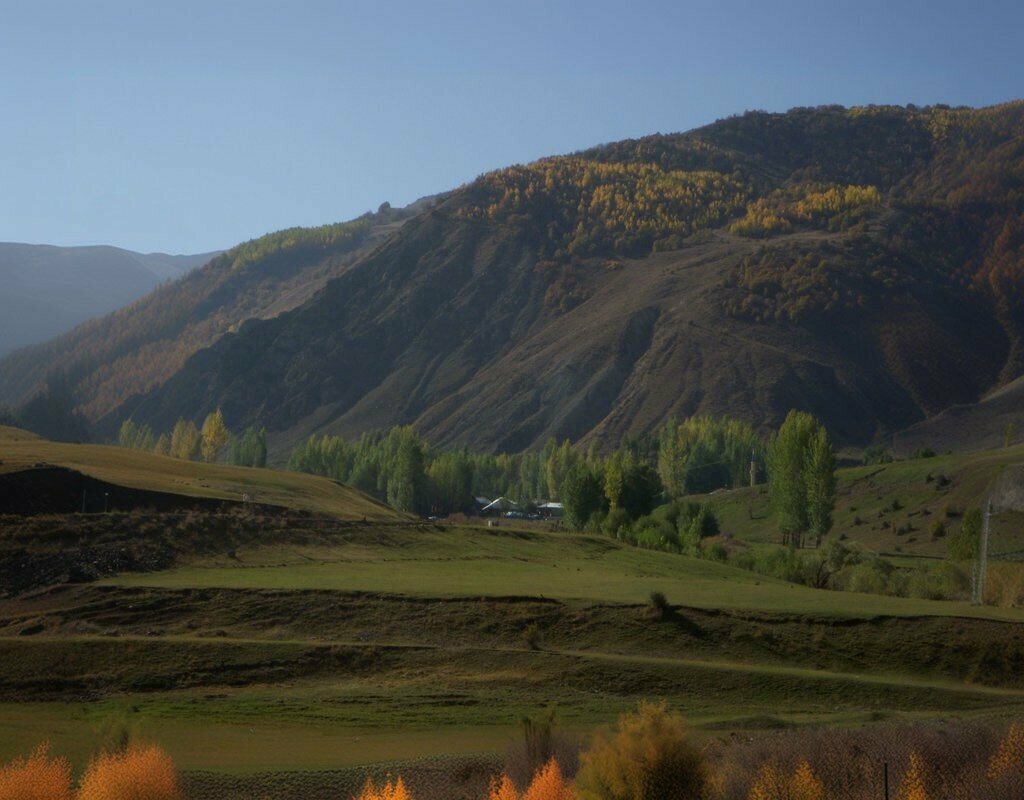 Muhtarlıklar Kaynarpınar Köy Muhtarlığı, Karlıova, foto