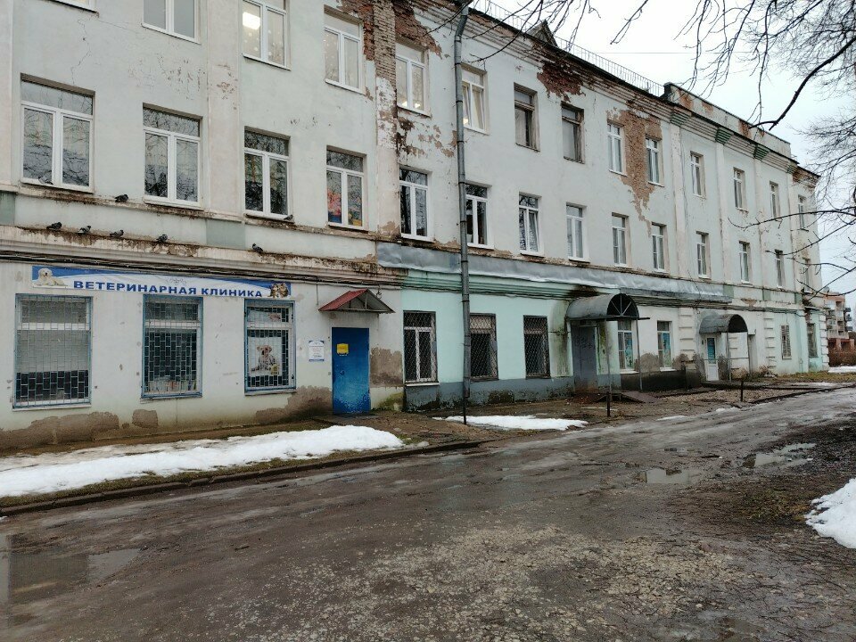 Veteriner klinikleri Вавилон, Slantsy, foto