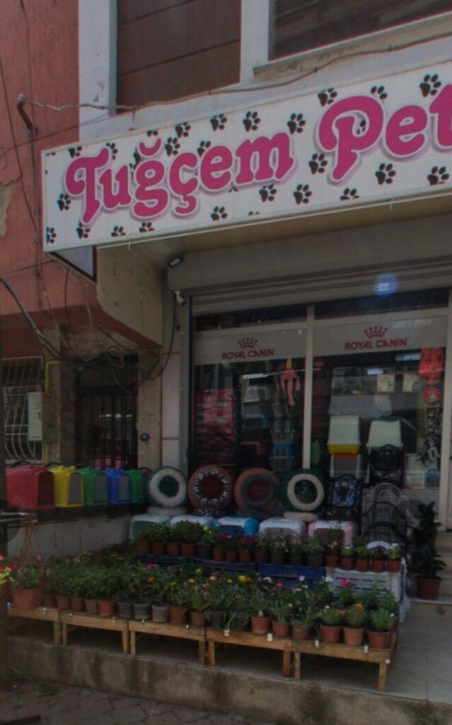 Petshop Tuğçem petshop, İzmir, foto