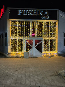 Cafe Pushka (ulitsa Lenina No:21), kafe  Otradnoe'den